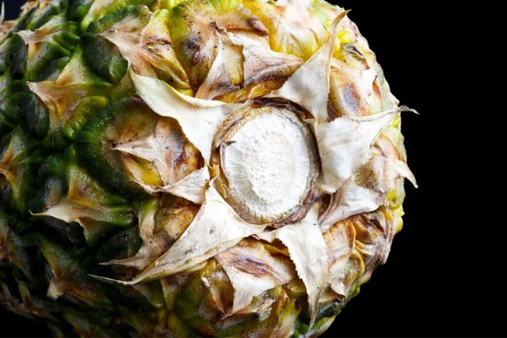 How to Pick out the Freshest Pineapple Plus Cool Pineapple Facts - My ...